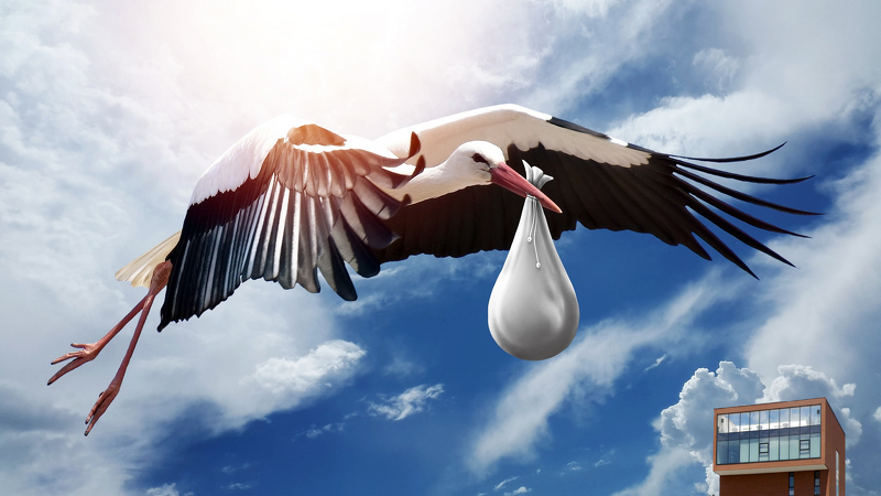 Siechnice w czołówce miast z największym przyrostem naturalnym w Polsce ...